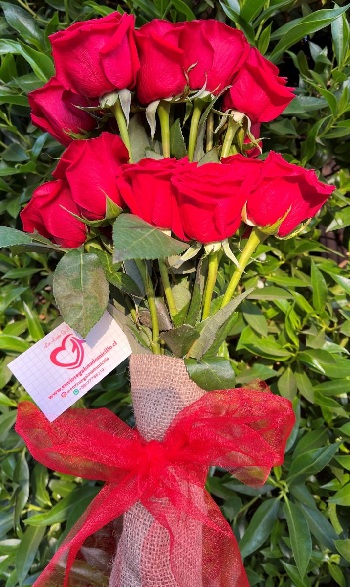 Ramo con 20 Rosas Ecuatorianas. – Envio Regalos a Domicilio